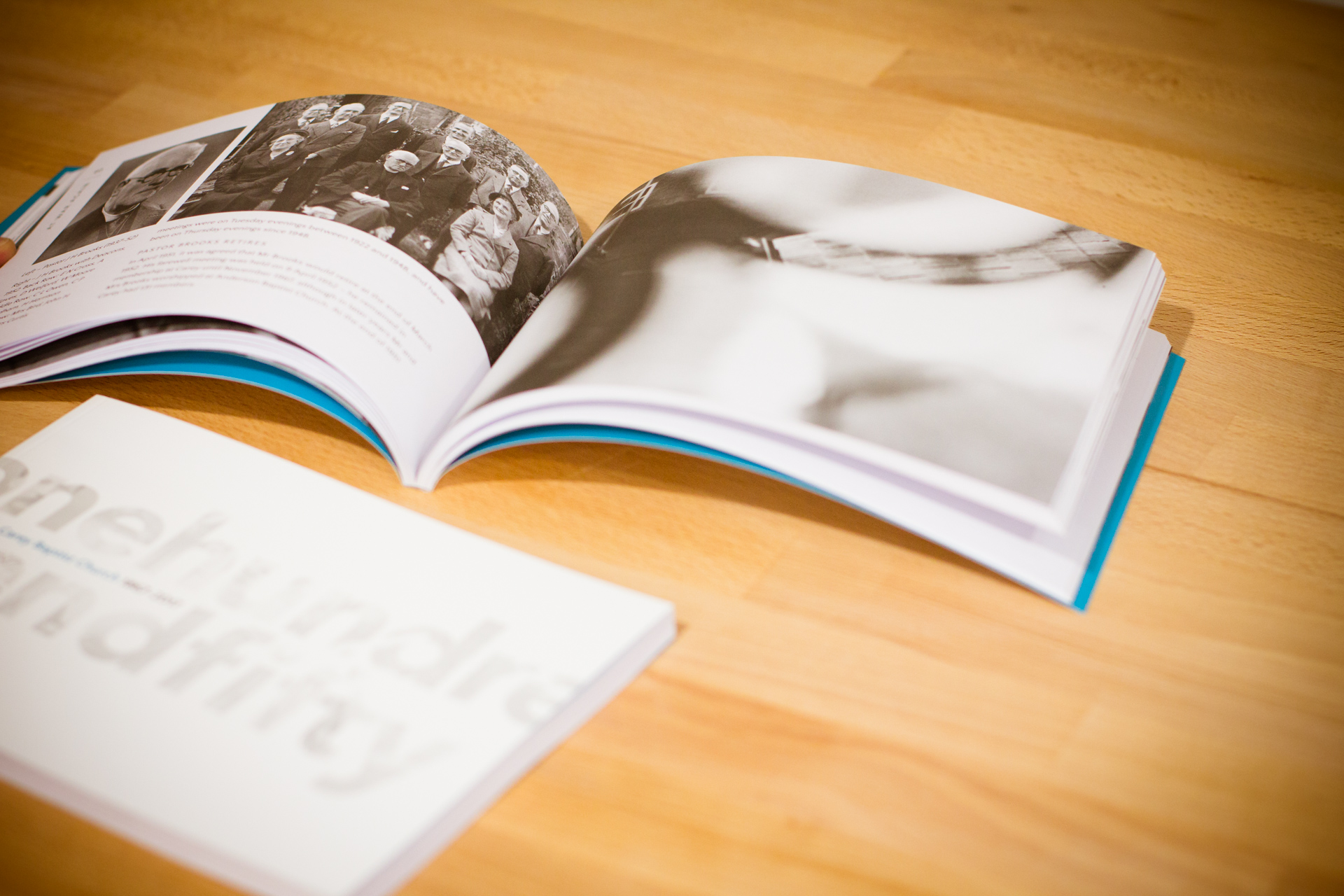 Tiger Finch | onehundredandfifty