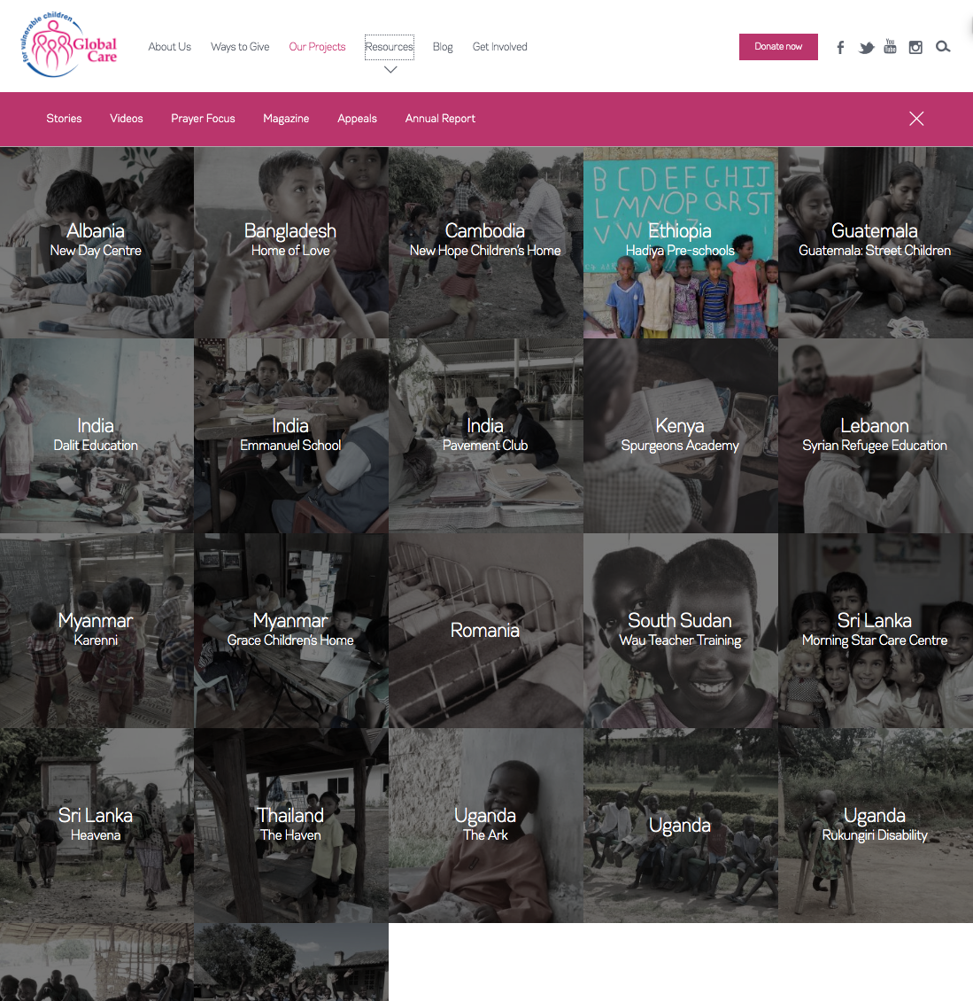 Tiger Finch | Global Care Website