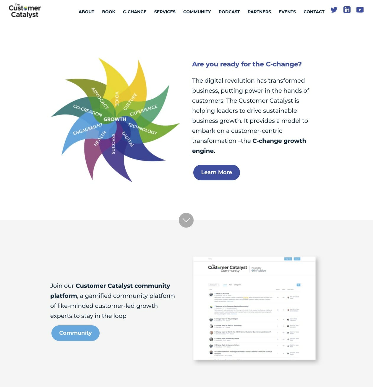 Tiger Finch | The Customer Catalyst