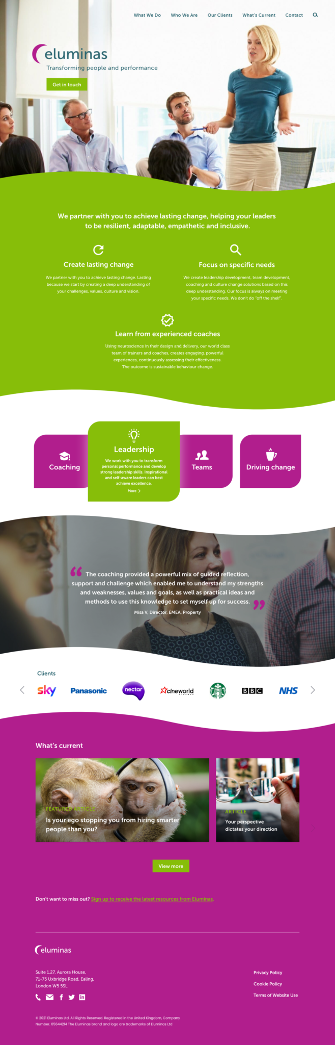 Tiger Finch | Eluminas