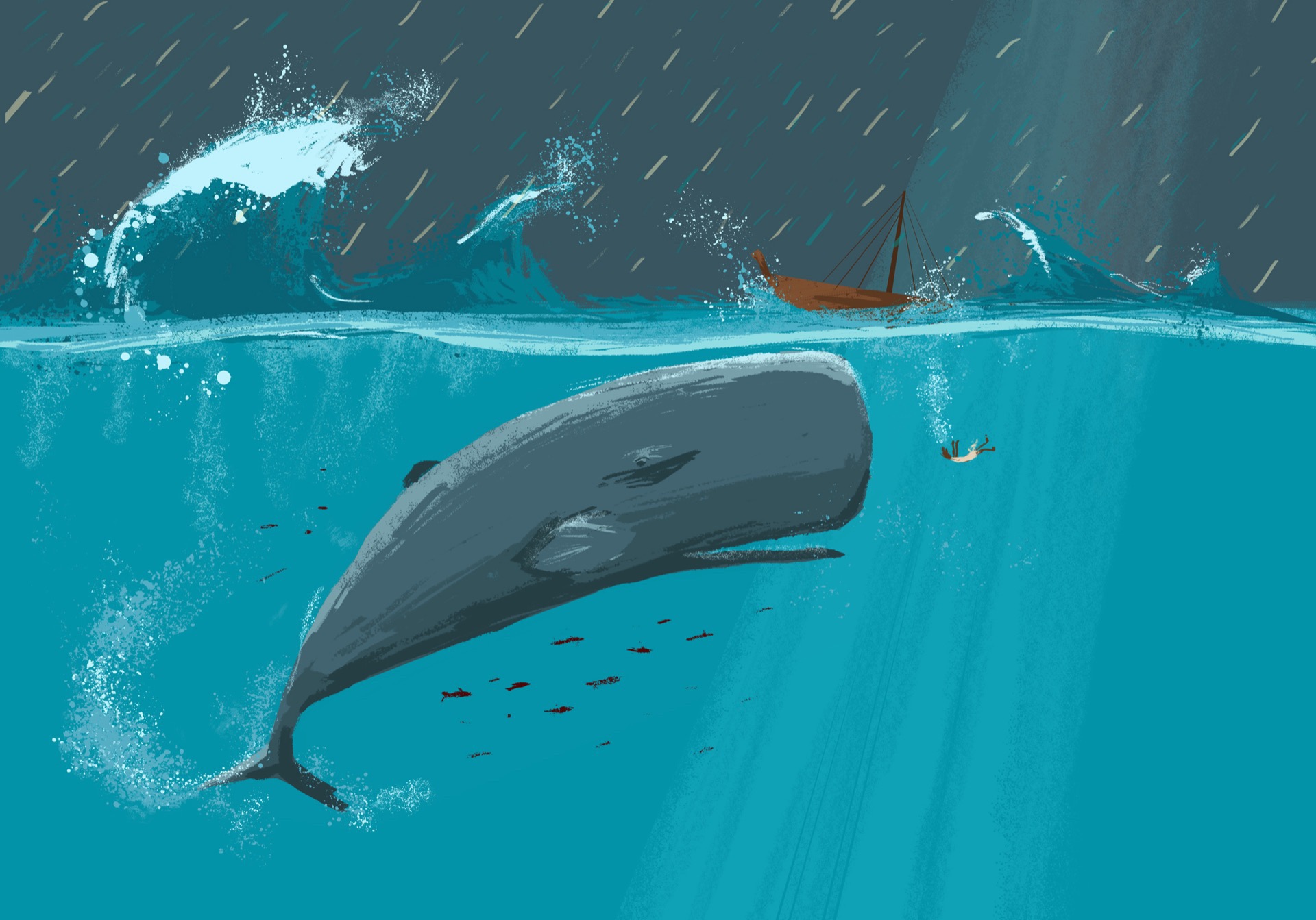 Tiger Finch | Jonah, Children’s Story